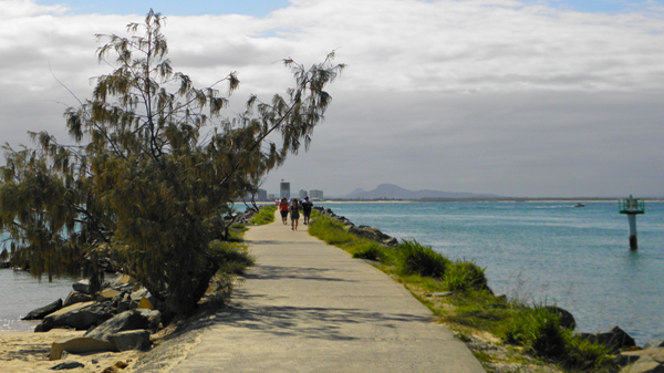 Marina Grove (Mooloolaba Spit Parkland) | Sunshine Coast Council