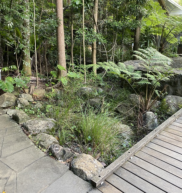 Creating a wildlife friendly backyard | Sunshine Coast Council