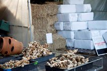 Local food industry an essential sector in economic strategy | Sunshine ...
