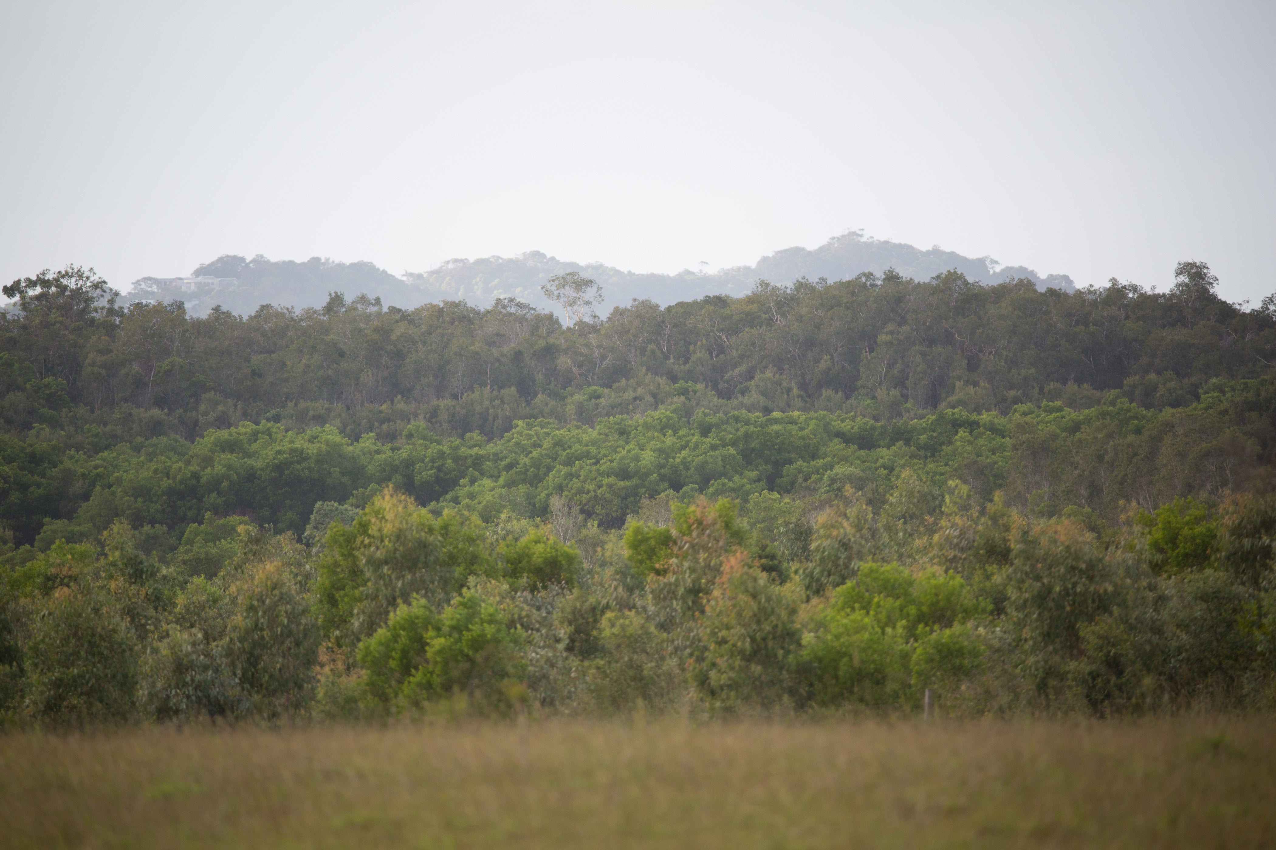 Environment reserves | Sunshine Coast Council