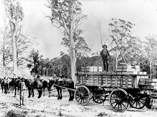 Backward Glance - Mapleton beginnings Part 1 | Sunshine Coast Council