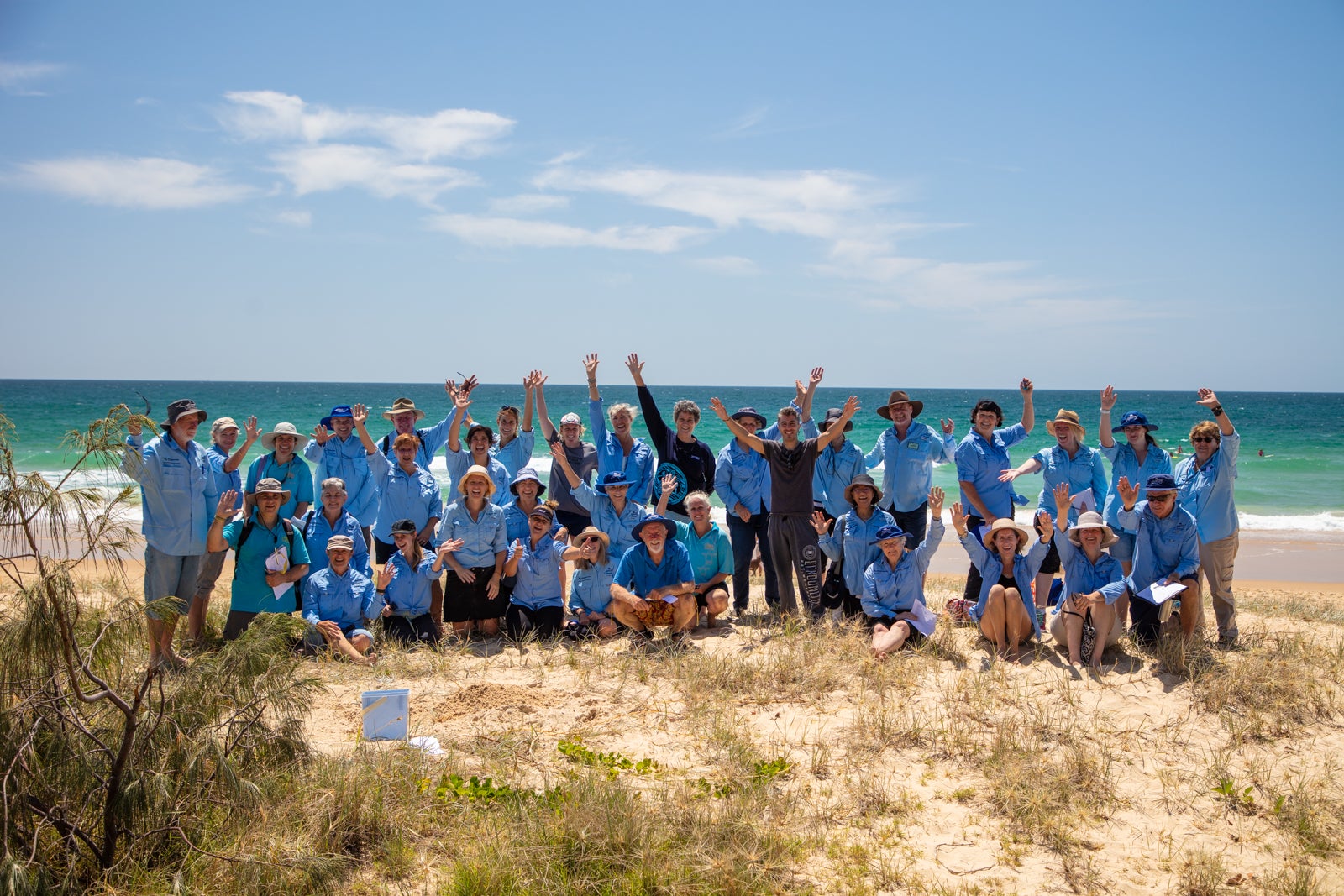 Get involved in Sunshine Coast turtle conservation | Sunshine Coast Council