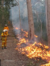 Blazing a trail for fire safety | Sunshine Coast Council