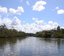 Council proactive on healthy waterways management | Sunshine Coast Council
