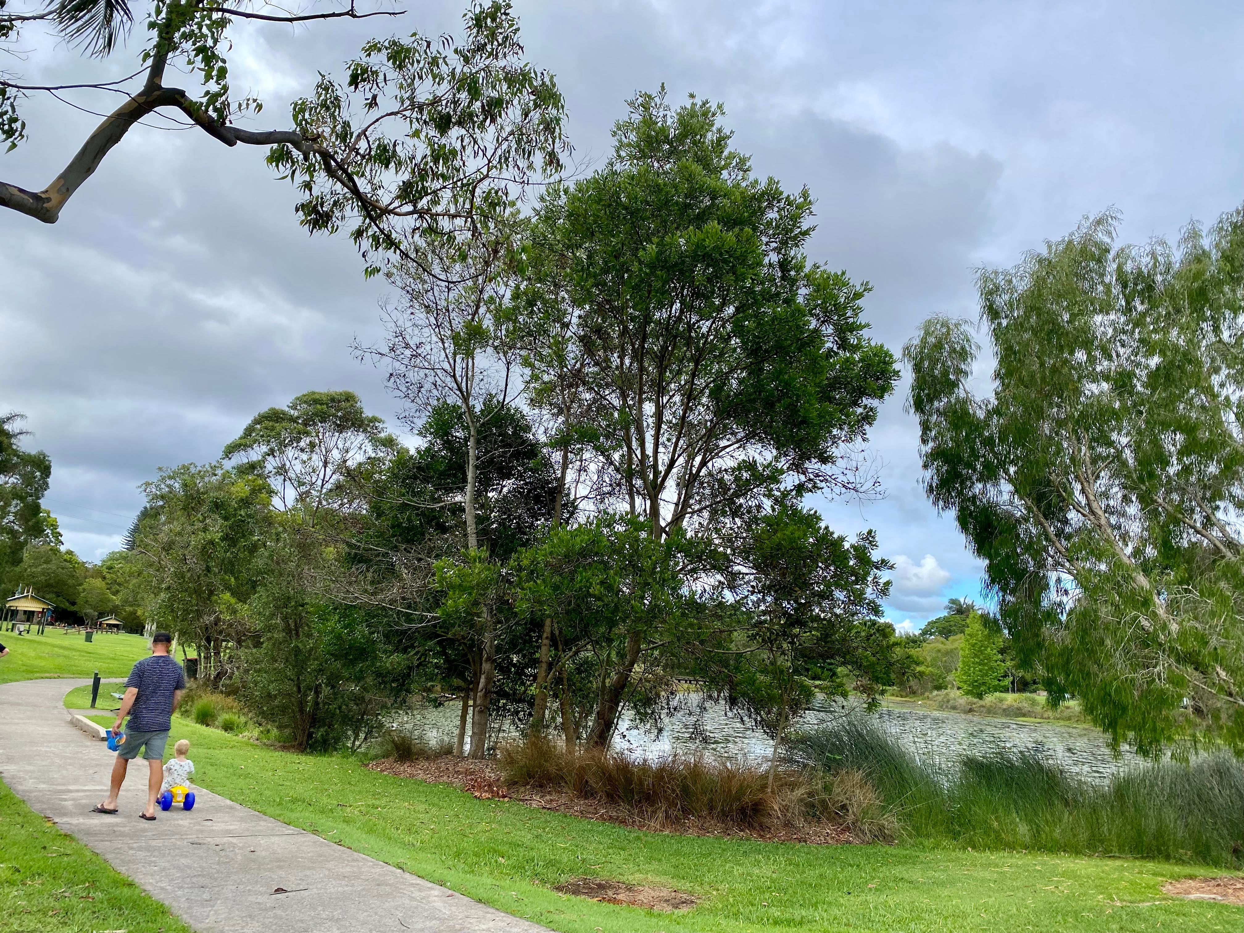 Adventure: Mapleton Lilyponds and National Park Forest Loop | OurSC