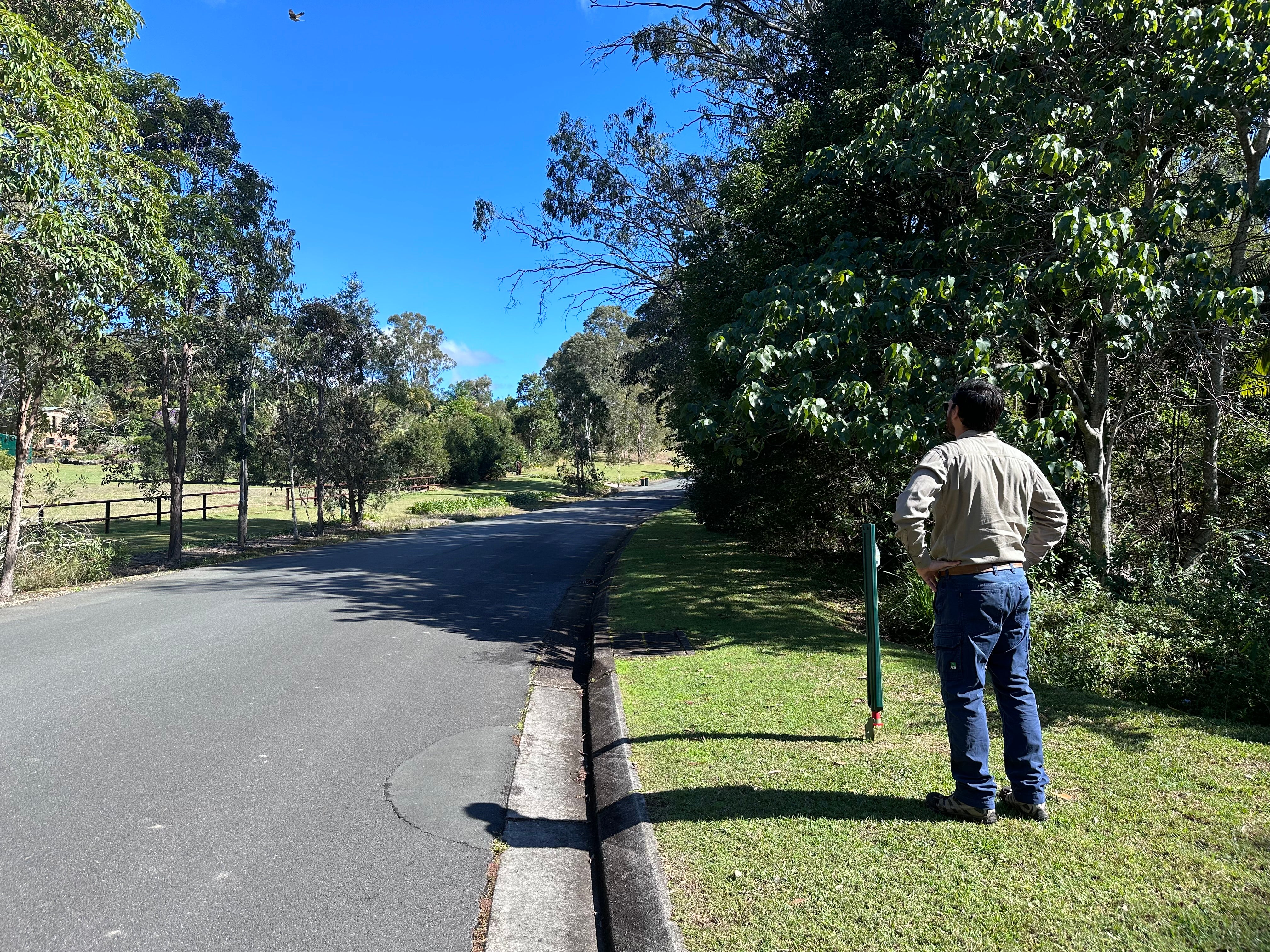 How unique ‘fauna fence’ will protect wildlife | OurSC
