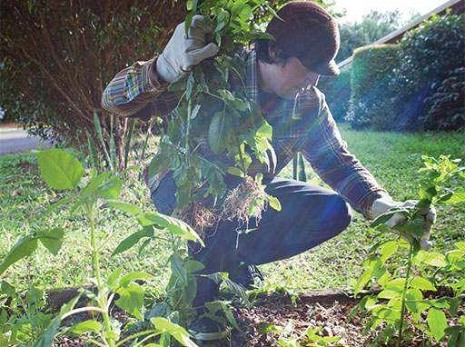 Extra community groups benefit from Environment Levy | Sunshine Coast ...