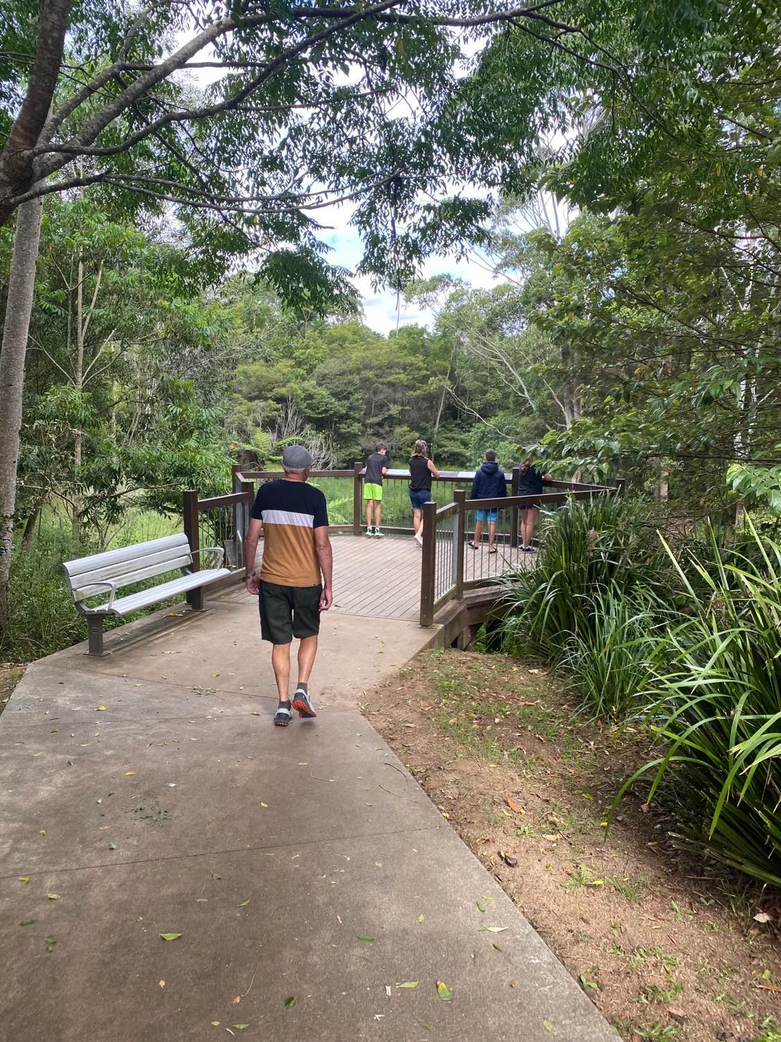Adventure: Maleny Boardwalk – Platypus Walk