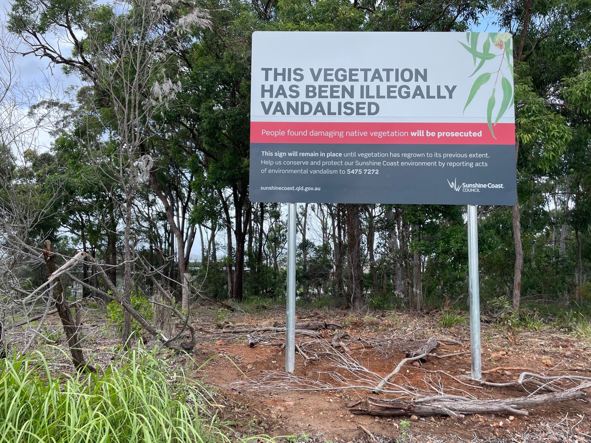 Treasured wildlife corridor damaged by vandals | OurSC