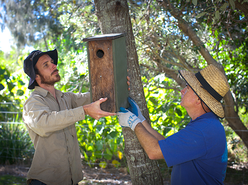 Environment Levy funding