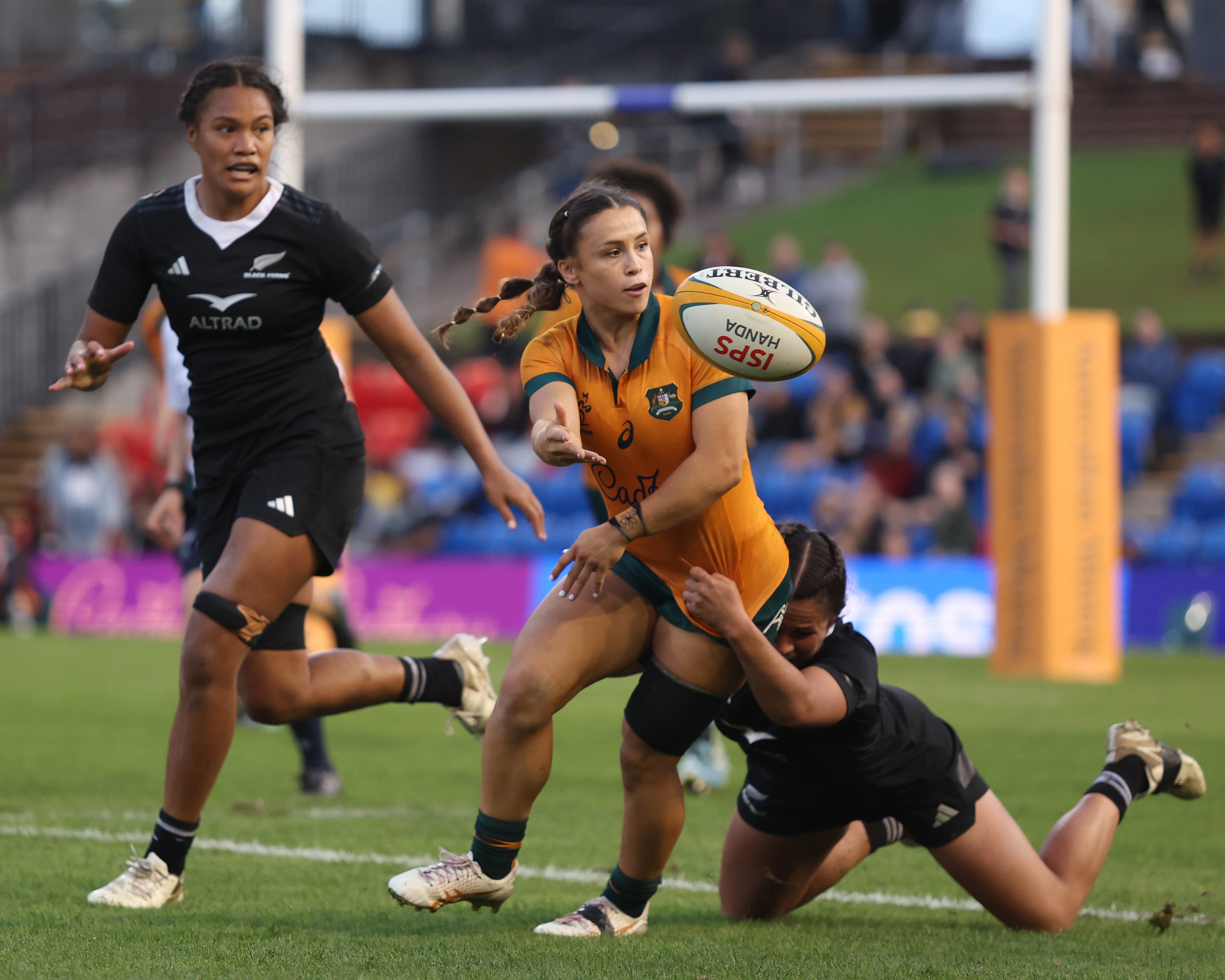 Sunshine Coast Debuts Women's ANZAC Day Match | Mirage News