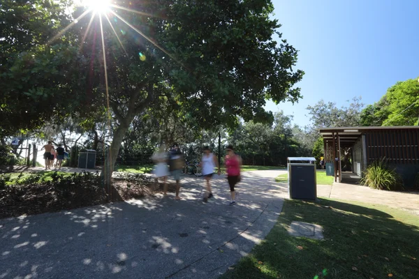 Beaches and parks directory