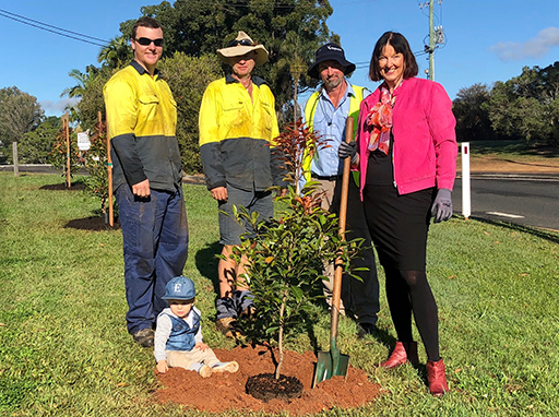 Tree planting | Sunshine Coast Council