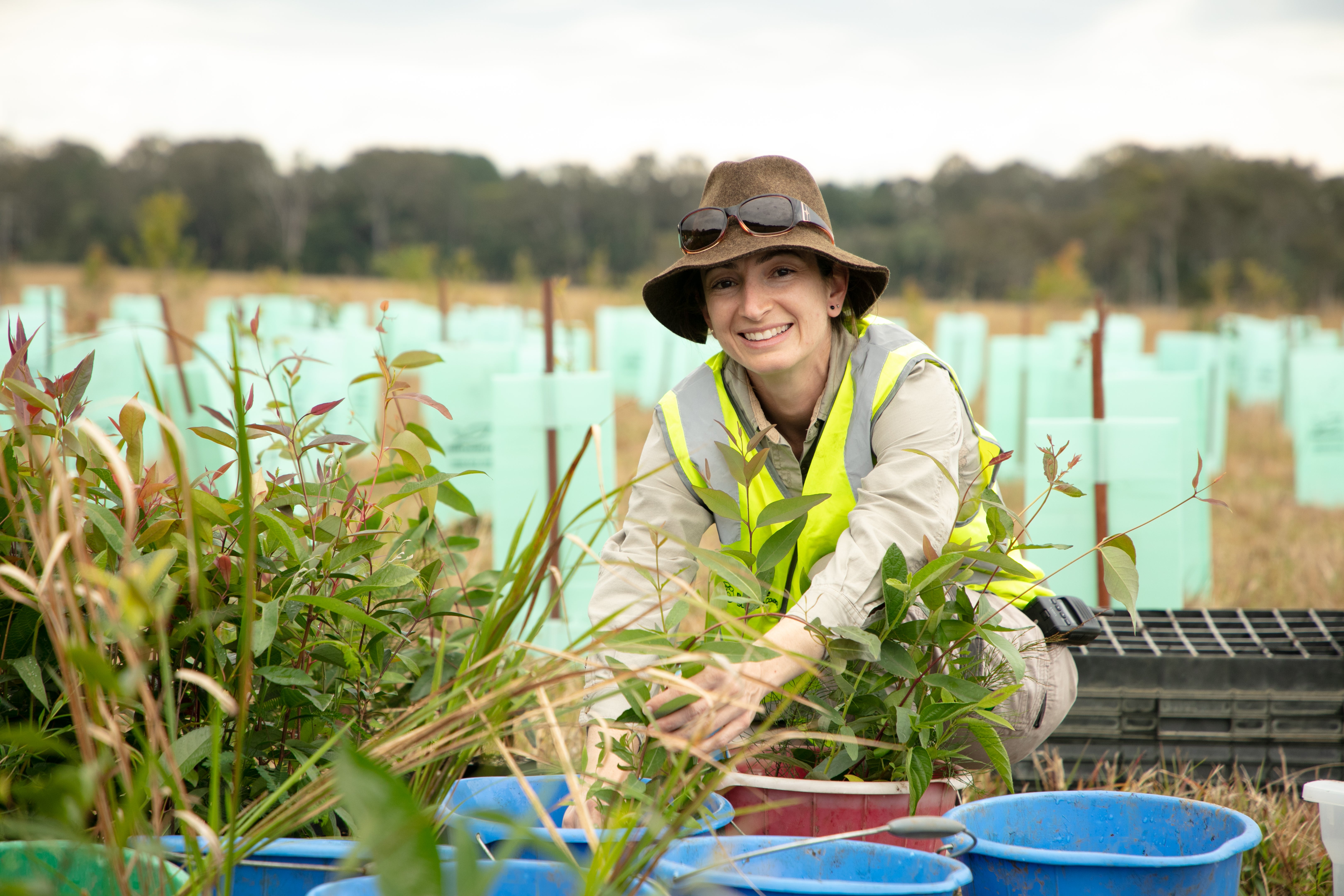 Environment Levy | Sunshine Coast Council