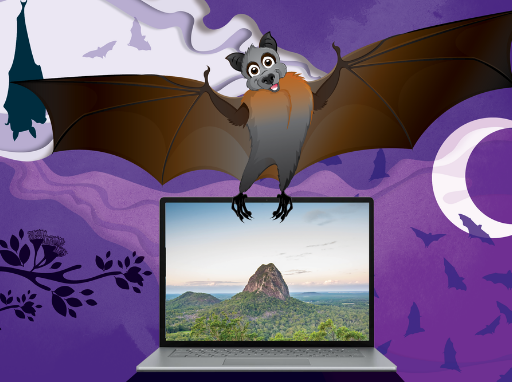 Flying fox activities | Sunshine Coast Council