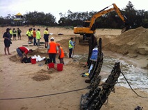 Bid to preserve remains of iconic SS Dicky moves a step closer ...