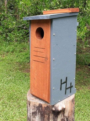 Importance of nest boxes for fauna | Sunshine Coast Council