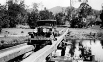 Backward Glance: spider bridges the lifeline in the Sunshine Coast ...
