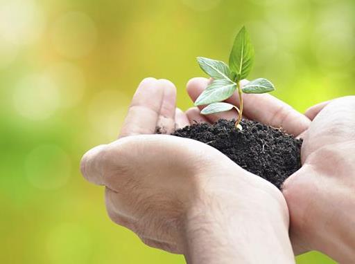 Natural resource management and conservation techniques