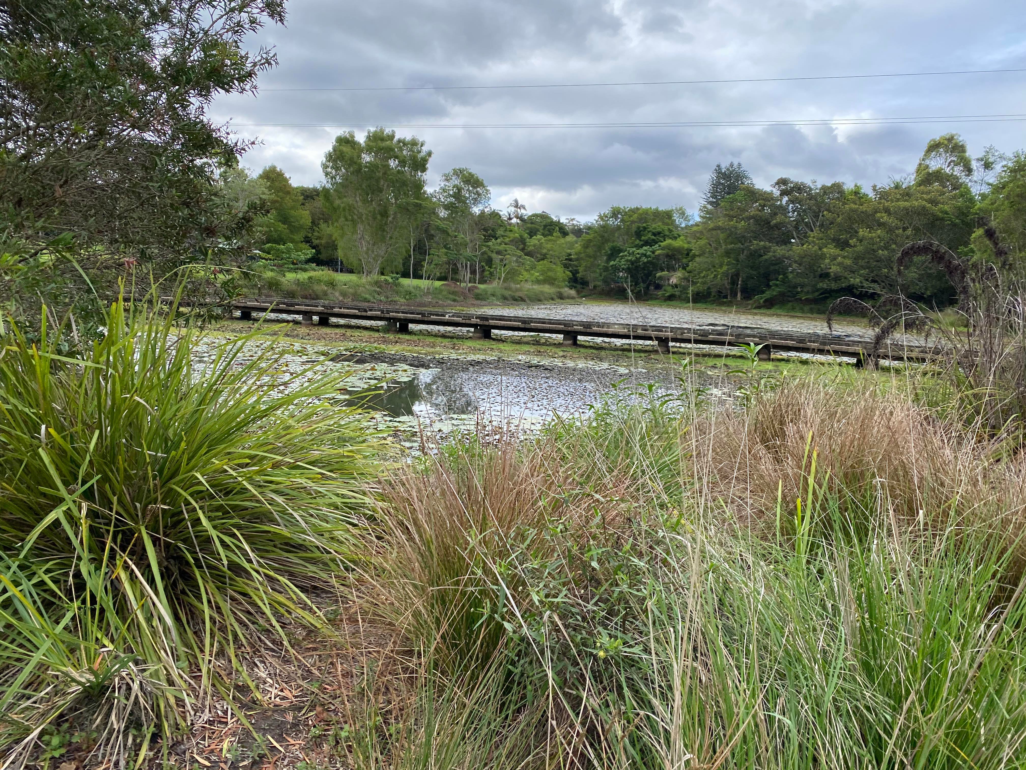 Adventure: Mapleton Lilyponds and National Park Forest Loop | OurSC