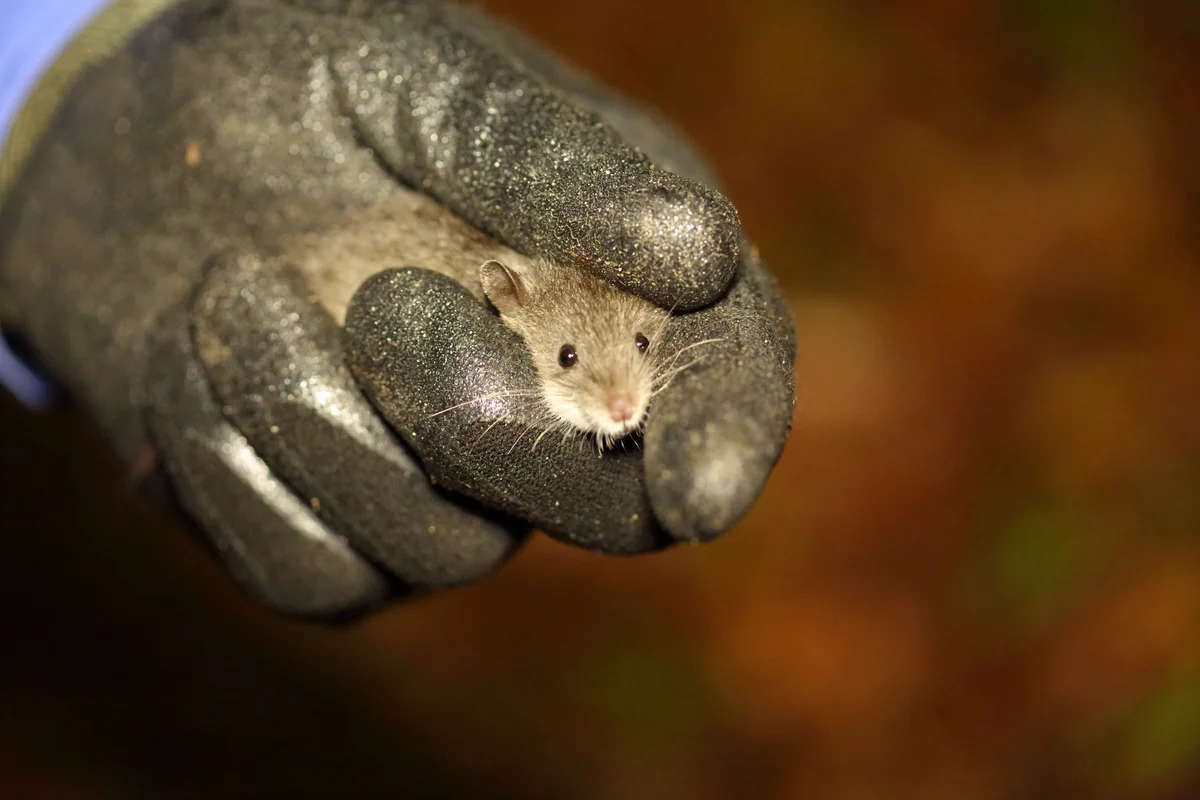 Meet an unlikely seafood connoisseur