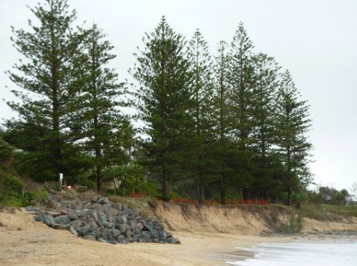 Dicky Beach rock seawall | Sunshine Coast Council