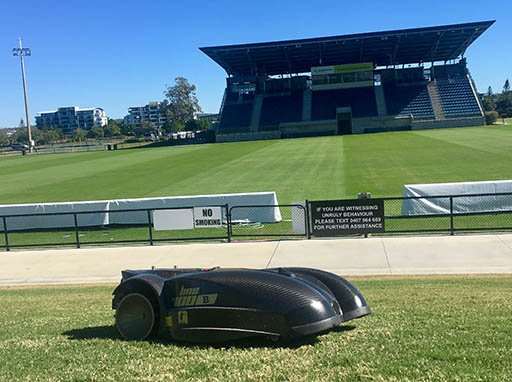 A new super hero at Sunshine Coast Stadium | Sunshine Coast Council