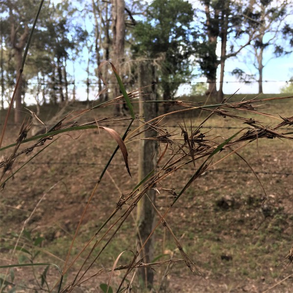 Natural resource management and conservation techniques