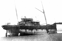 Backward Glance: The last voyage of the S.S. Dicky | Sunshine Coast Council