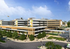 A positive health check for employment | Sunshine Coast Council