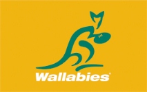 Wallabies to meet their Coast fans | Sunshine Coast Council