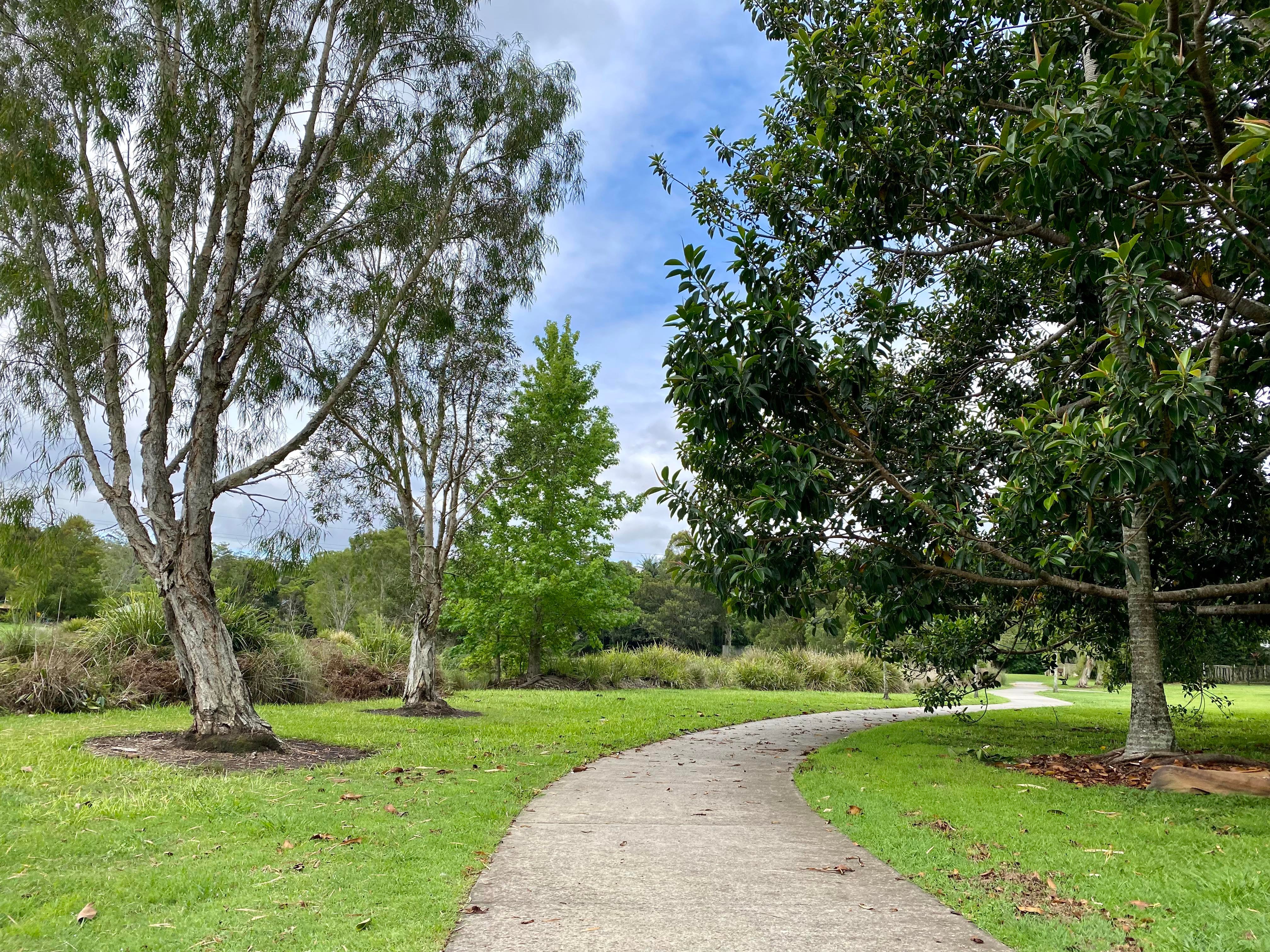 Adventure: Mapleton Lilyponds and National Park Forest Loop | OurSC