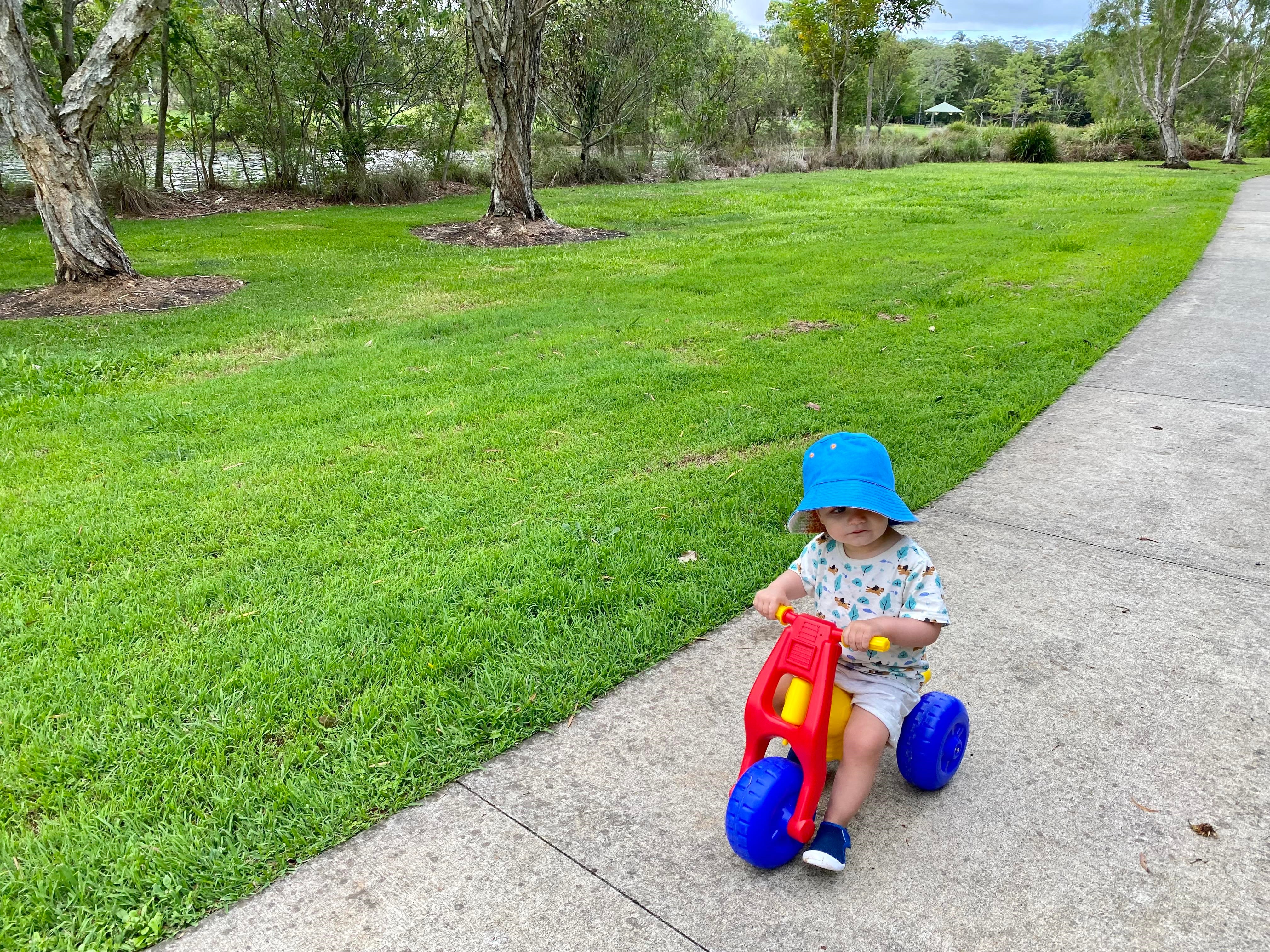 Adventure: Mapleton Lilyponds and National Park Forest Loop | OurSC