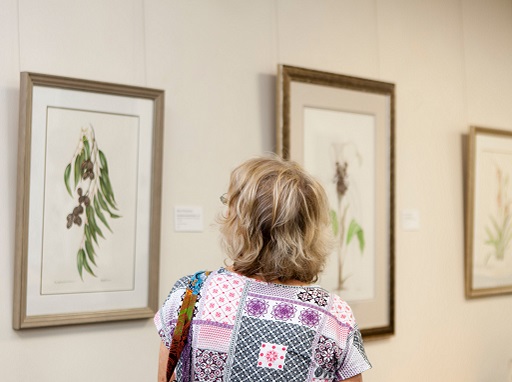 Apply now to exhibit your artwork in the Maroochydore Library Artspace