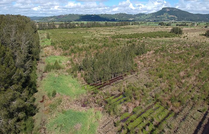 Environmental Reserves Network Management Plan | Sunshine Coast Council