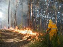 Coast’s fire crews prepare for spring bushfires | Sunshine Coast Council