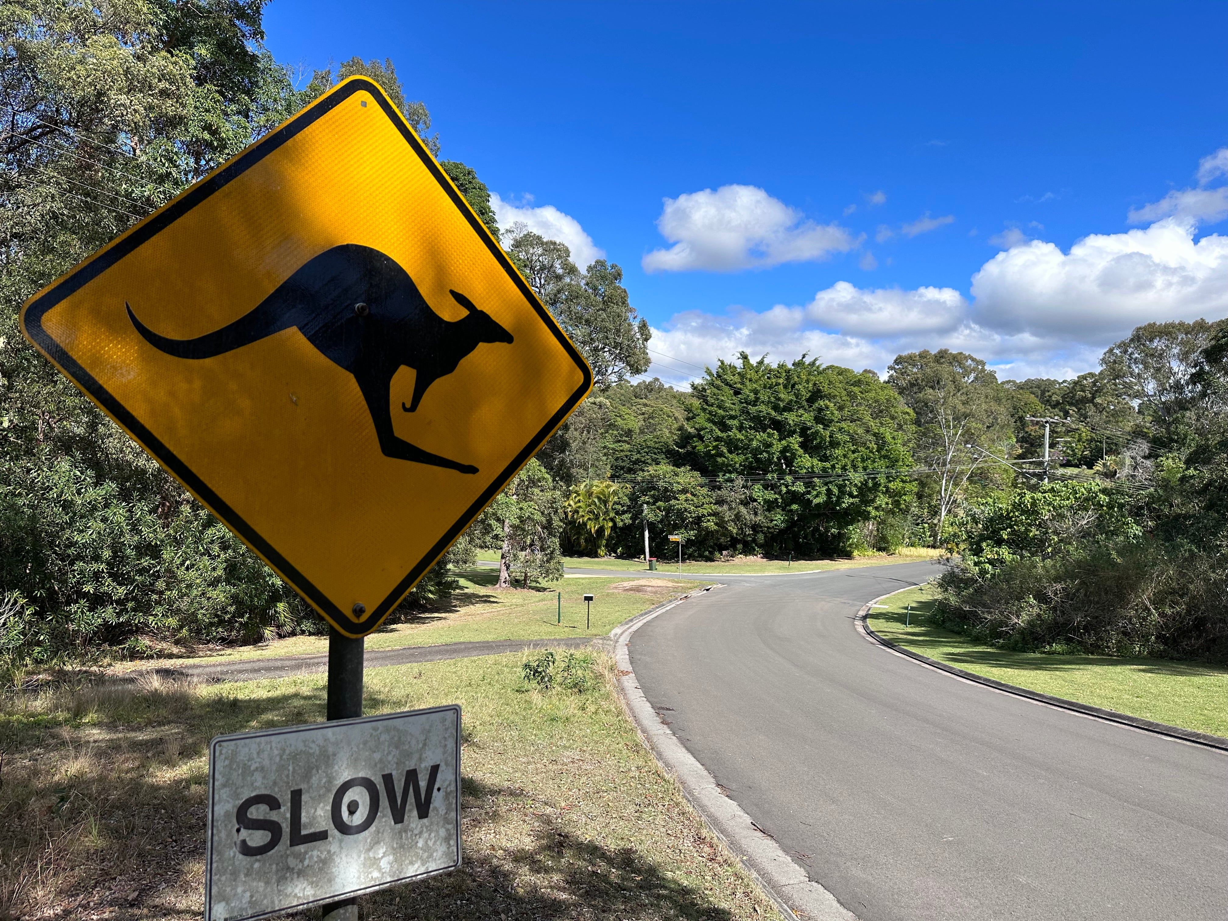 How unique ‘fauna fence’ will protect wildlife | OurSC