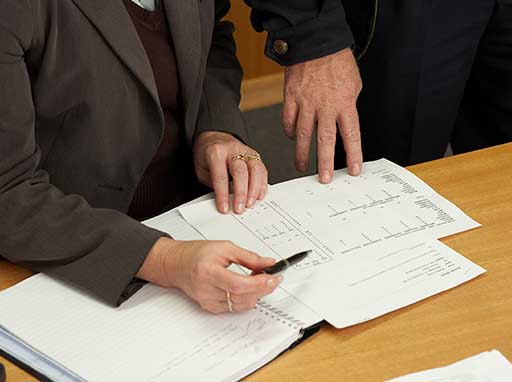 Development application process