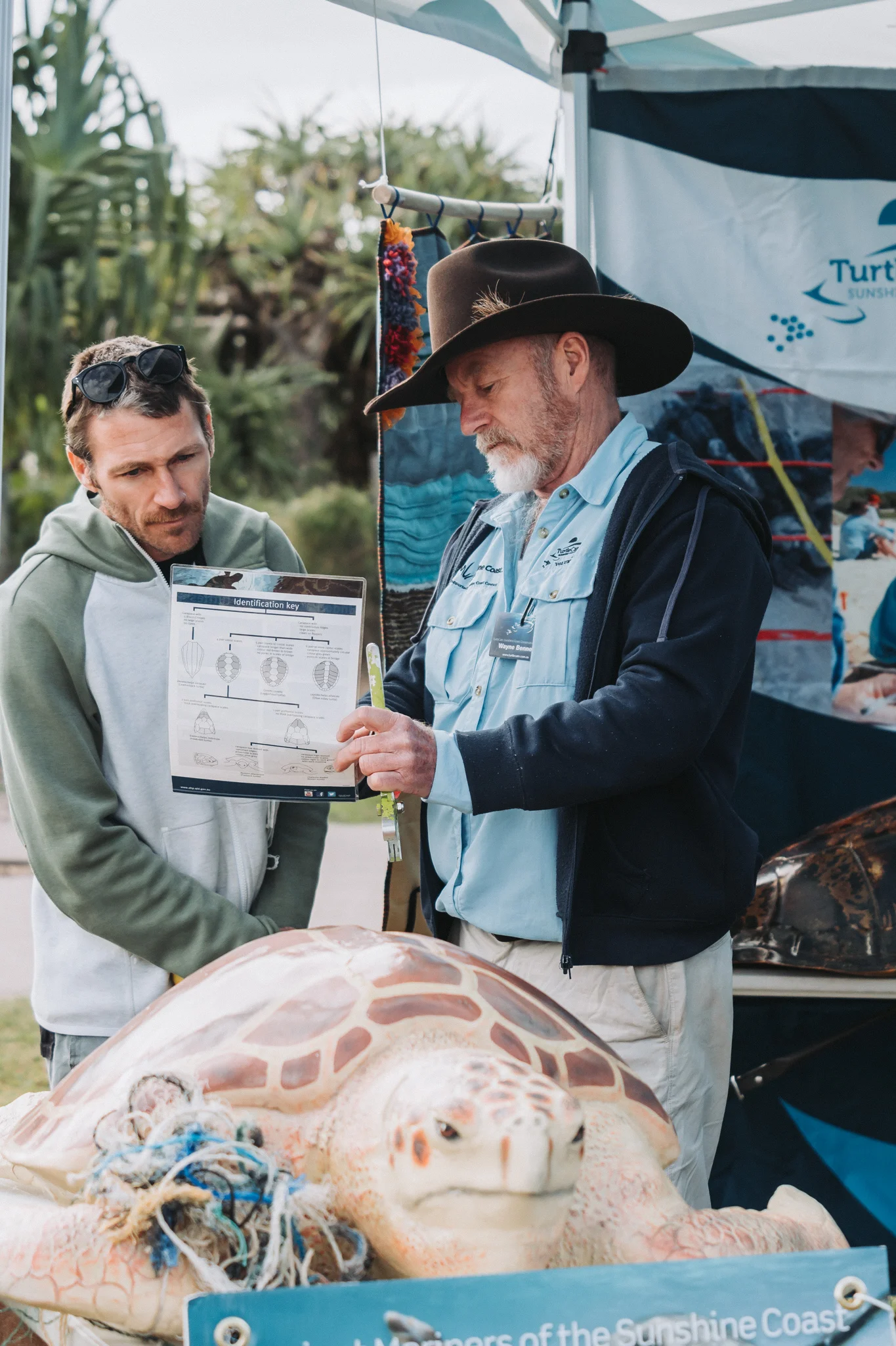Sunshine Coast Turtle conservation projects
