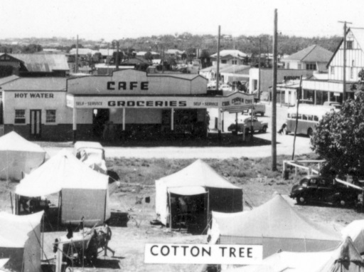 Maroochydore Library Twin Black Swan event | Sunshine Coast Council