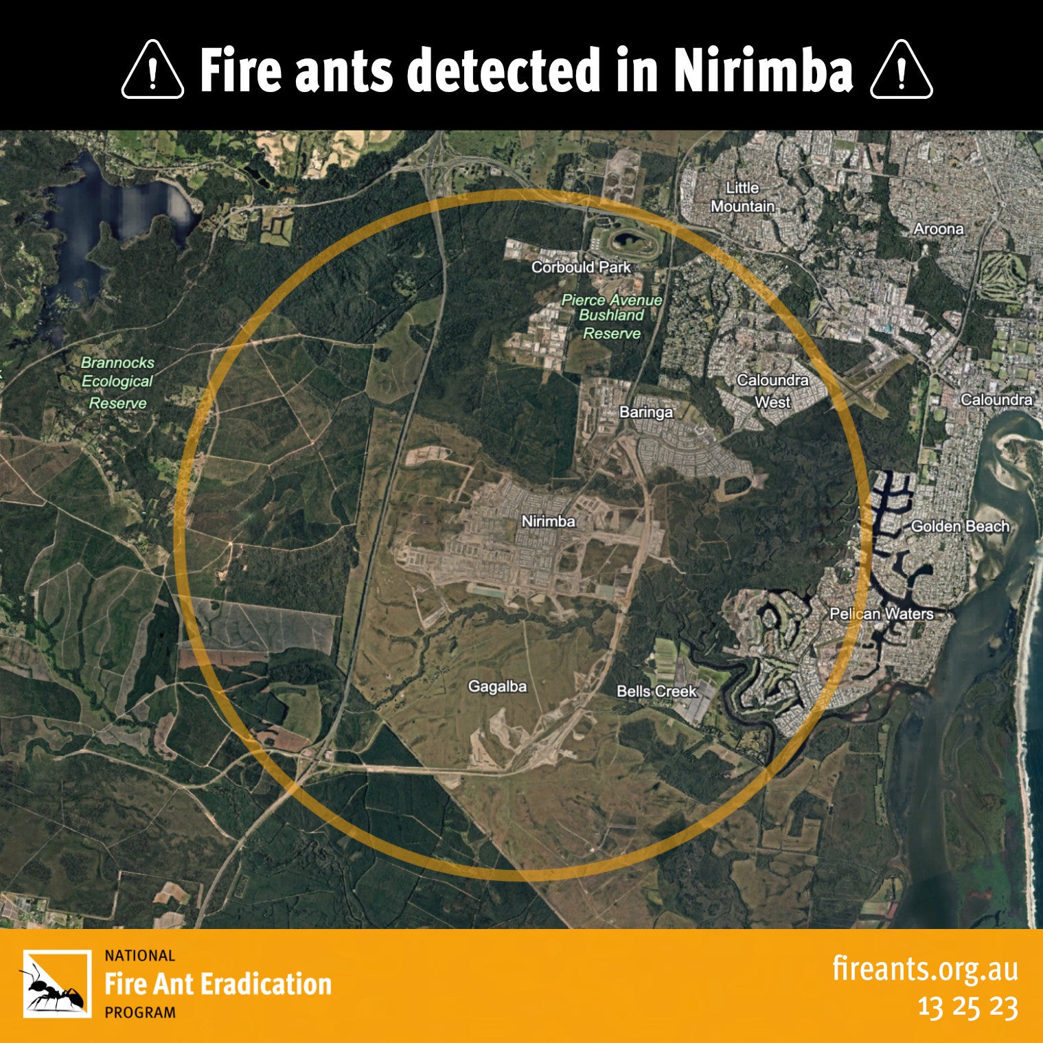 Fire ants | Sunshine Coast Council