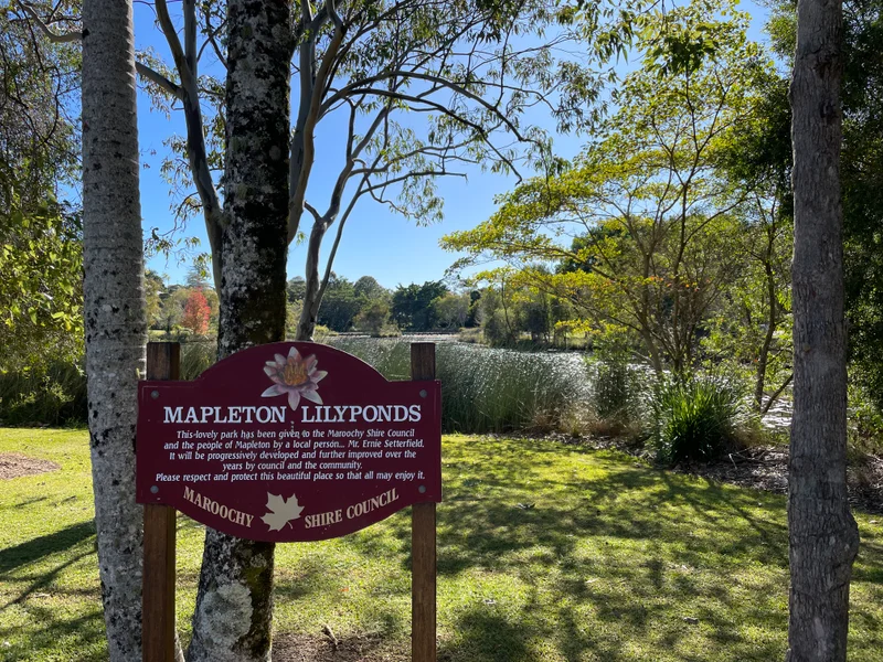 Exciting Mapleton Lilyponds Park upgrade | OurSC