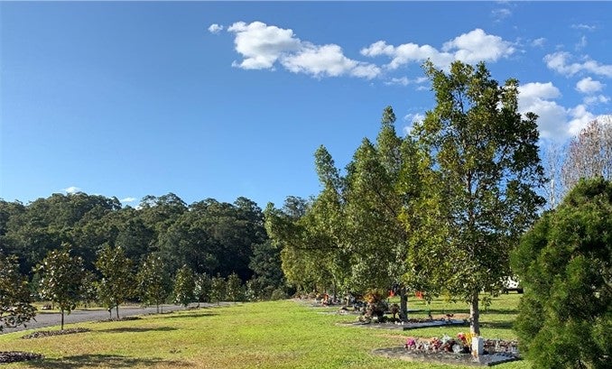 Tree burial site | Sunshine Coast Council