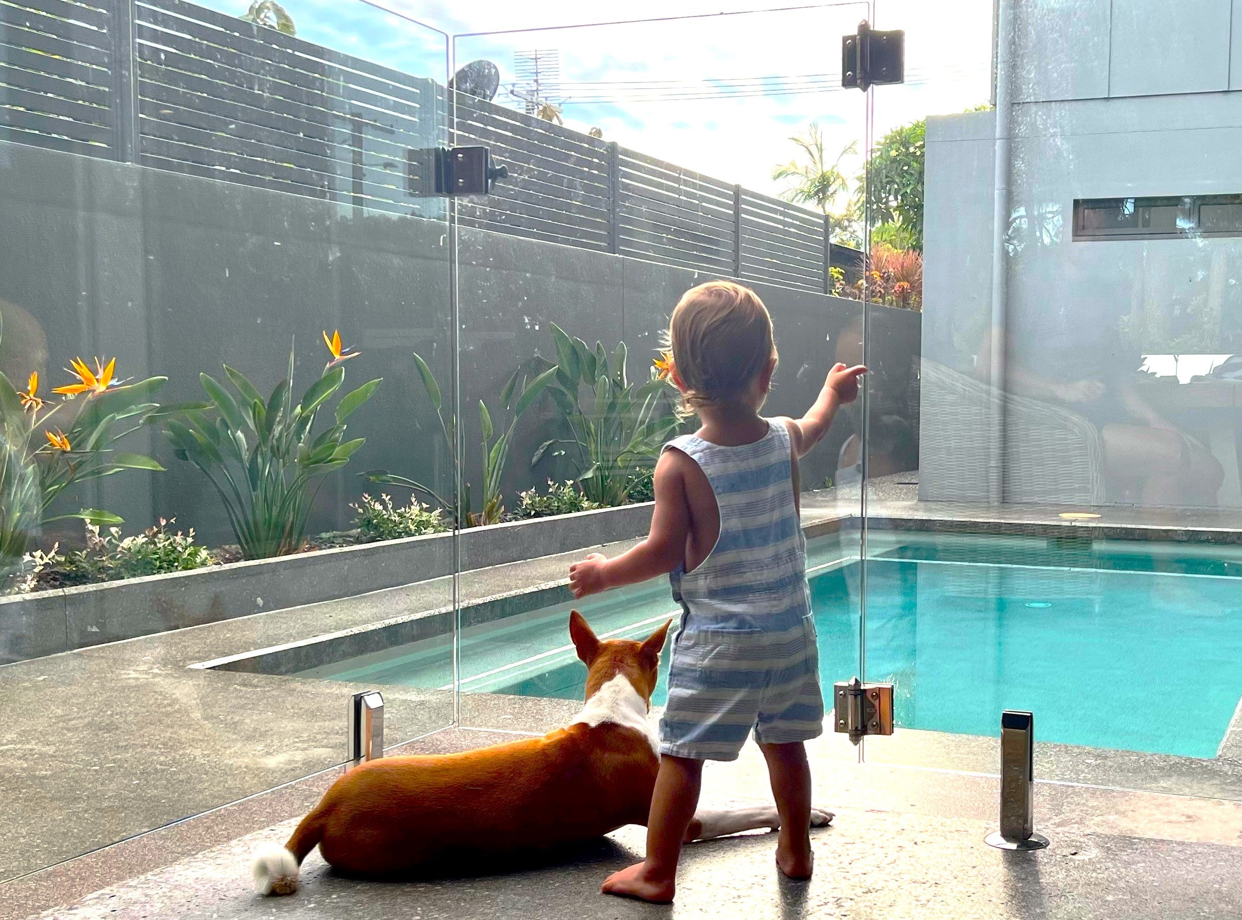 Shut the gate on swimming pool tragedies | OurSC