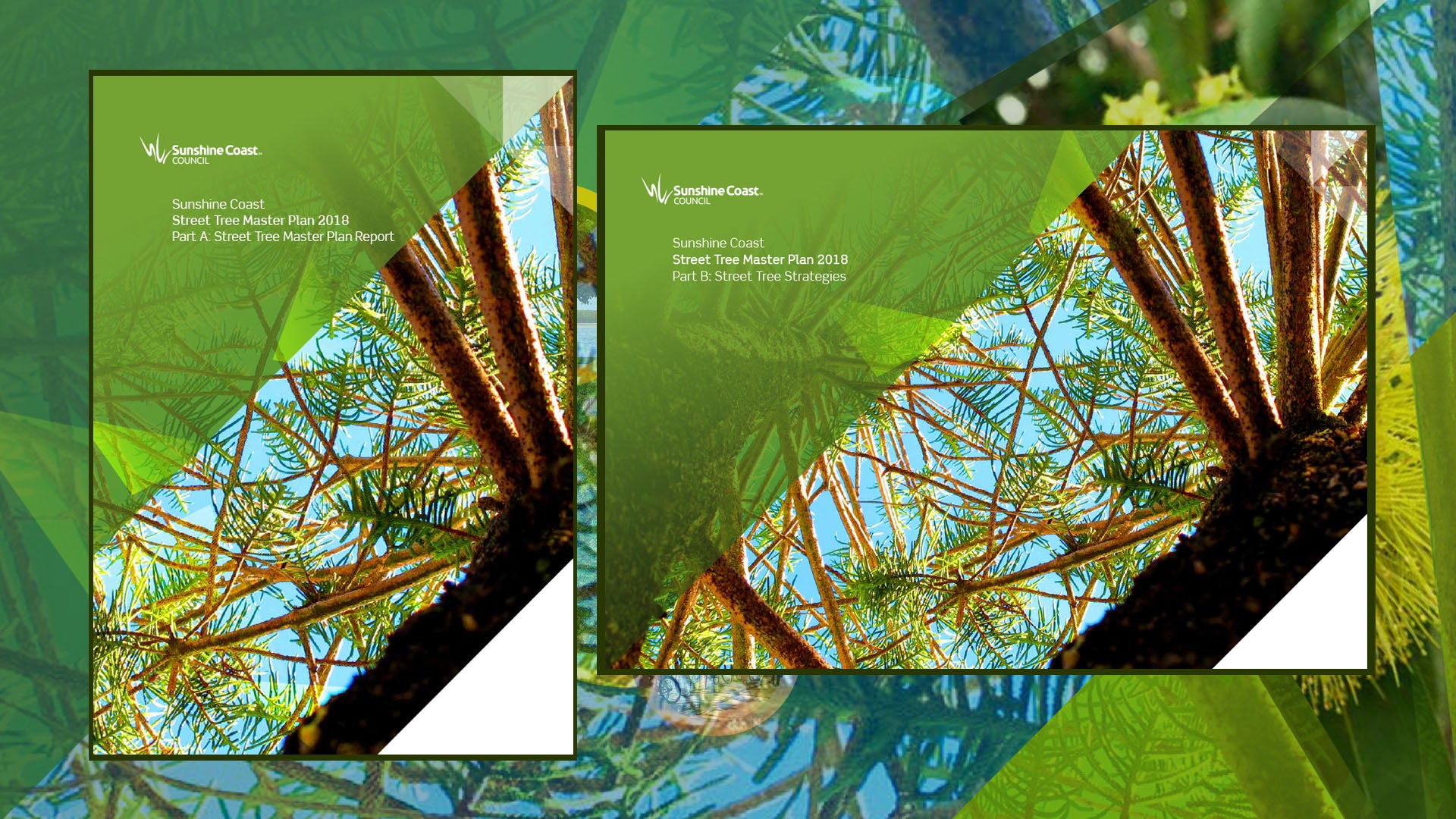 Street tree master plan | Sunshine Coast Council