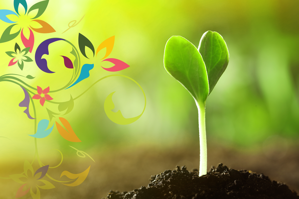 Sunshine Coast Libraries