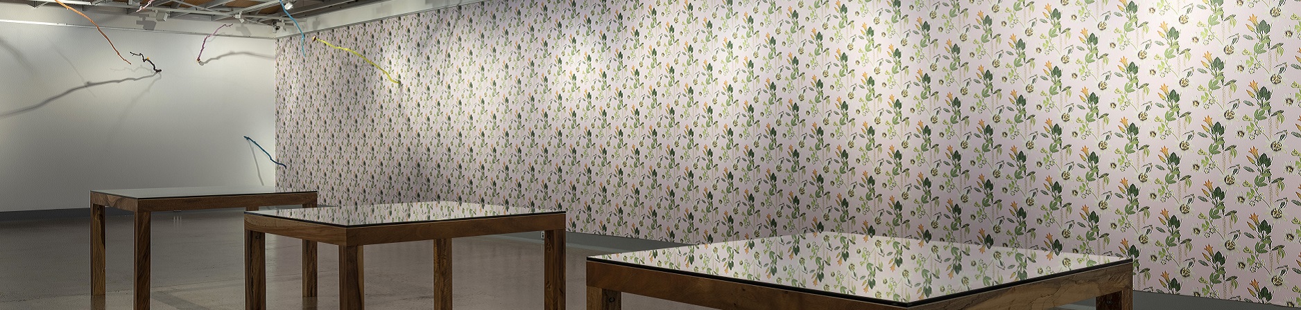 Regional arts infrastructure framework | Sunshine Coast Council