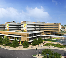Sydney health mission starts to pay off | Sunshine Coast Council