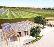 Qld Audit announces findings on Solar Farm project | Sunshine Coast Council