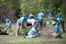 Five groups to receive environment partnerships